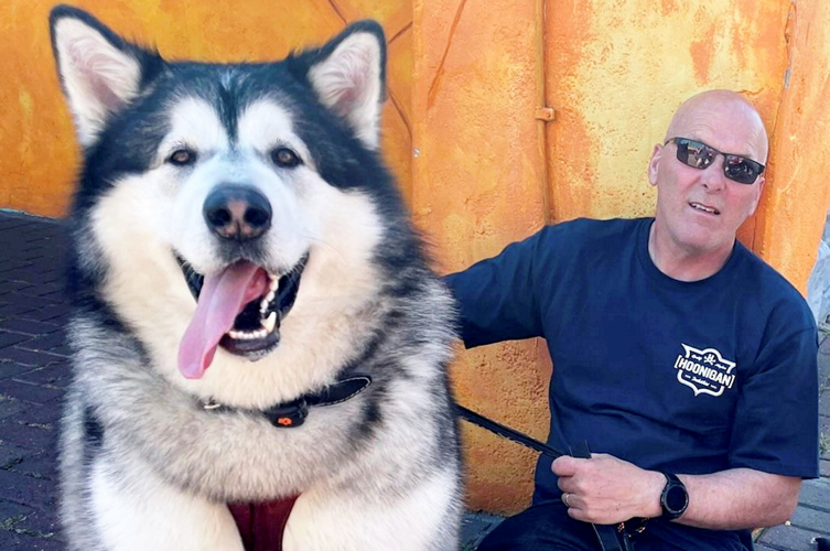 Pet dog so big people think it’s a wolf | Nation | iosconews.com