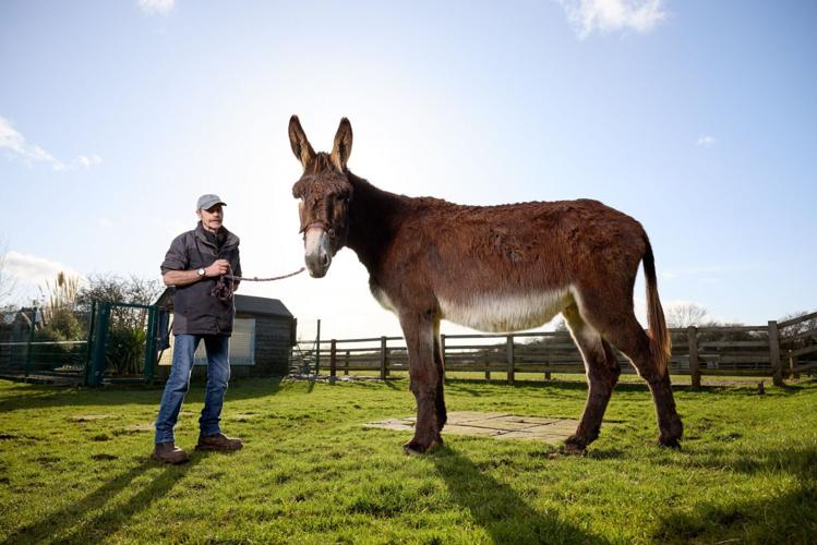 Guinness World Records gives early look at 2026 record breakers ...