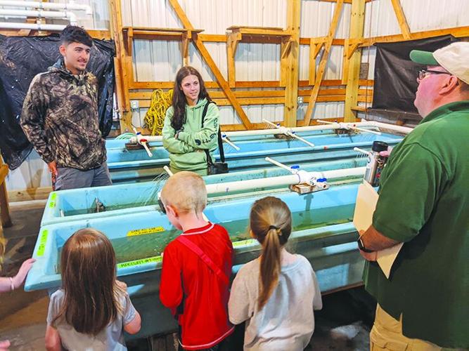 Black River sturgeon hatchery open for tours Aug. 23 | Outdoors ...