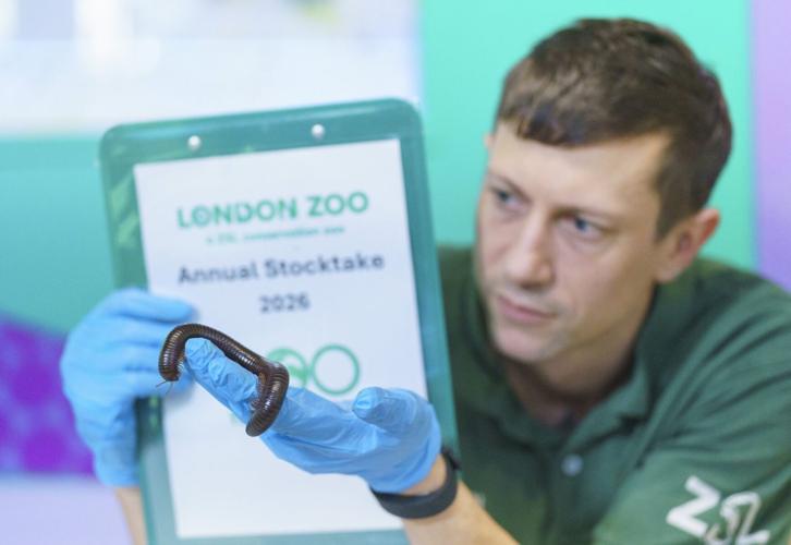 200-year-old zoo conducts annual animal count to start new year ...