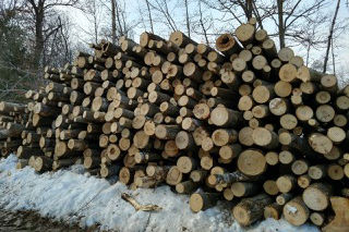 Logging – still a big deal in Minnesota | Outdoors | isanti ...