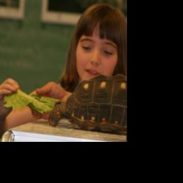 [photos] Kids pet an alligator at the library | | isanti ...
