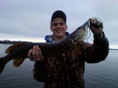 32 inch Northern Pike | | isanti-chisagocountystar.com