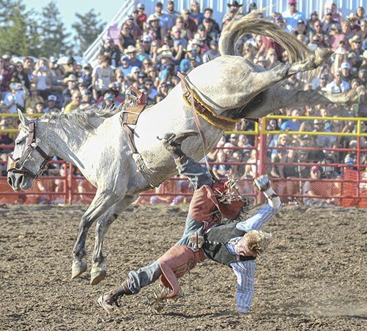 Isanti Rodeo thrills capacity crowds with nonstop action | News ...