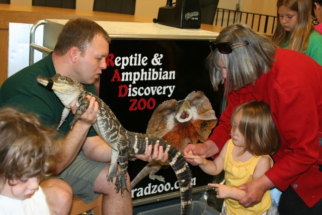 [photos] Kids pet an alligator at the library | | isanti ...