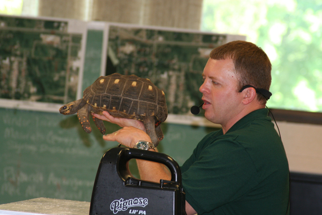 [photos] Kids pet an alligator at the library | | isanti ...