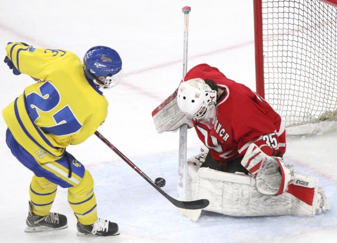 Viking boys hockey finish sixth at state | Local | isanti ...