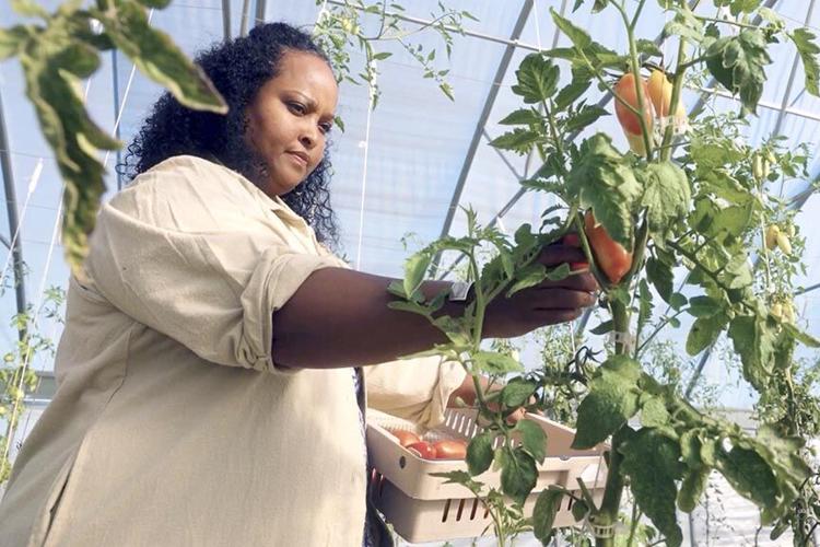 Virginia McKnight award honors trailblazing Dalbo farmer | News ...