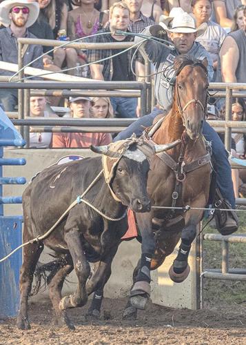 'And they call the thing rodeo' | News | isanti-chisagocountystar.com