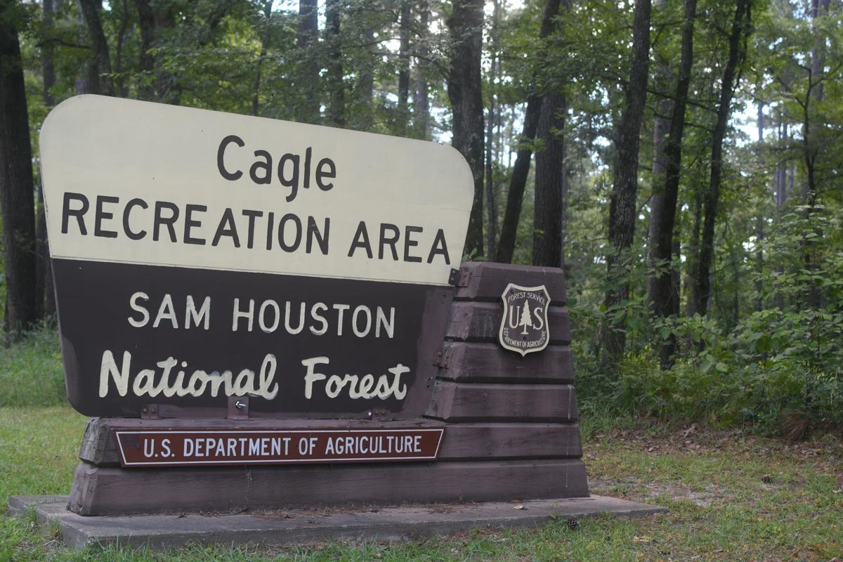 IN PHOTOS: Cagle Recreation Area in Sam Houston National Forest reopens ...