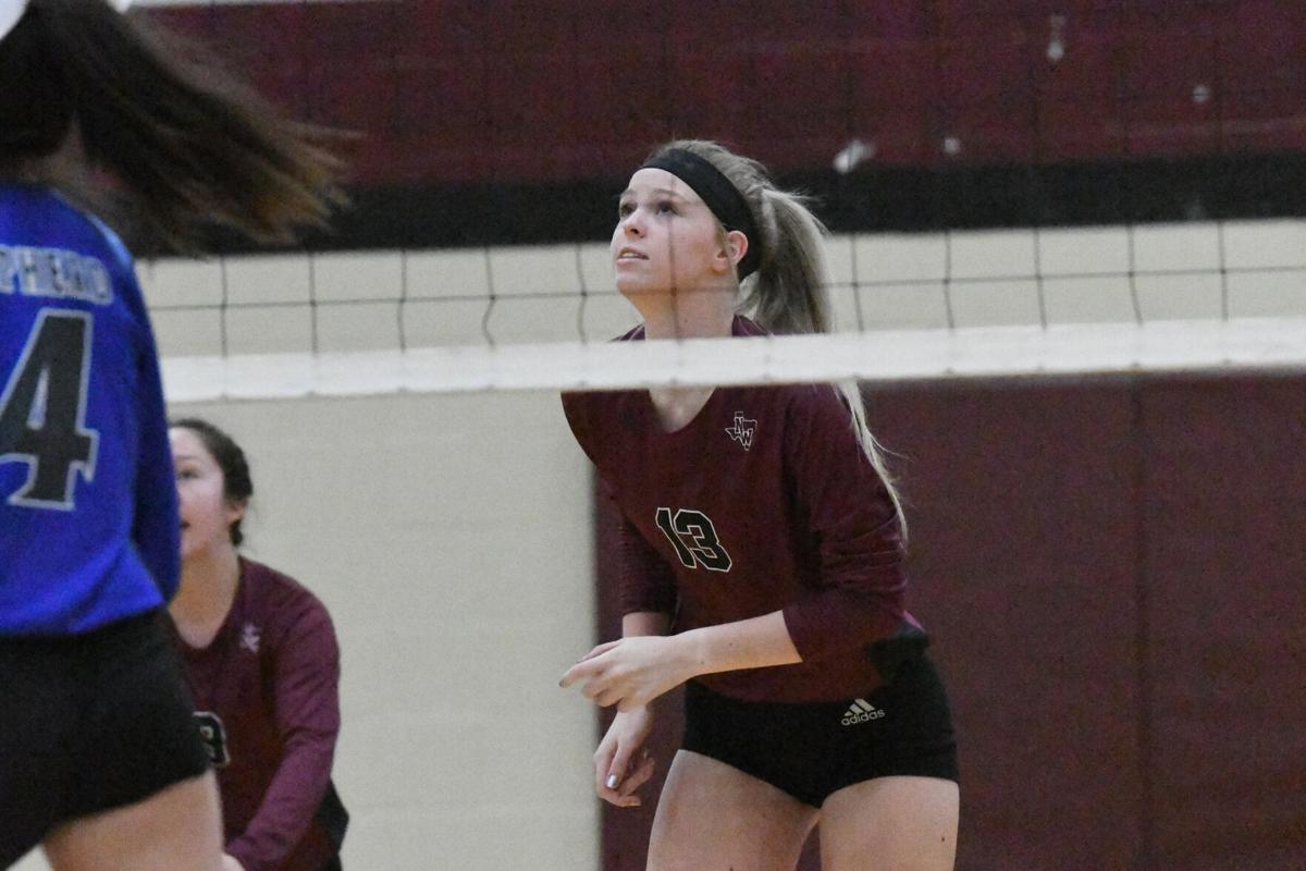 IN PHOTOS: New Waverly volleyball vs. Shepherd | Multimedia ...