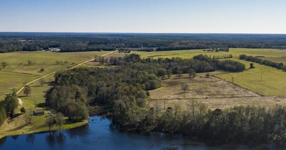 NRCS Texas announces application deadline for the Conservation ...