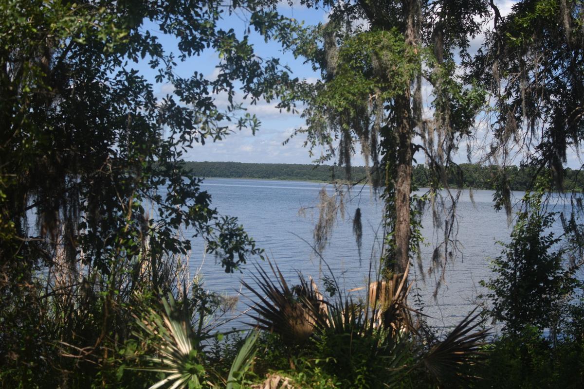 IN PHOTOS: Cagle Recreation Area in Sam Houston National Forest reopens ...
