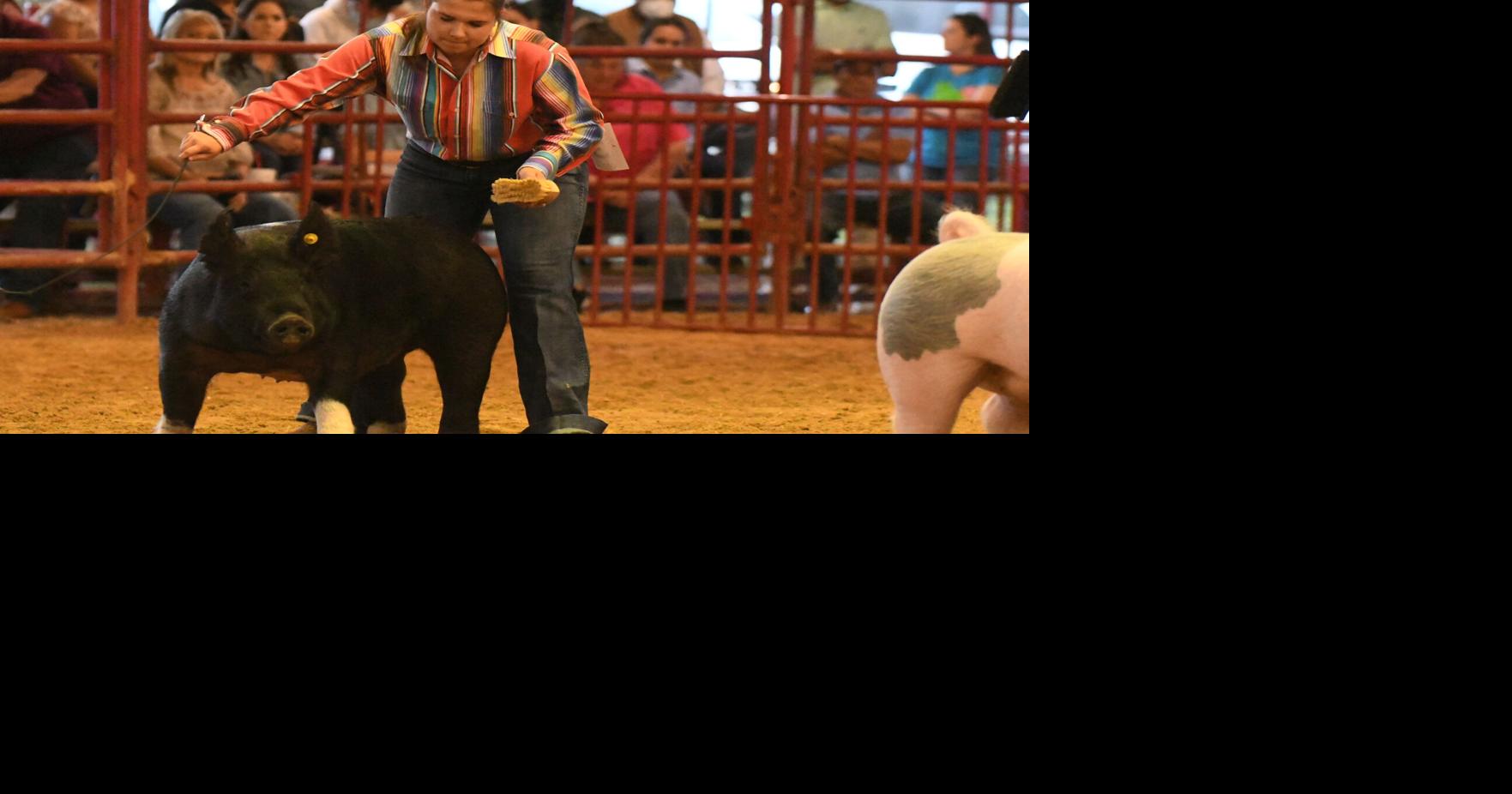 2021 Walker County Fair Results | News | itemonline.com