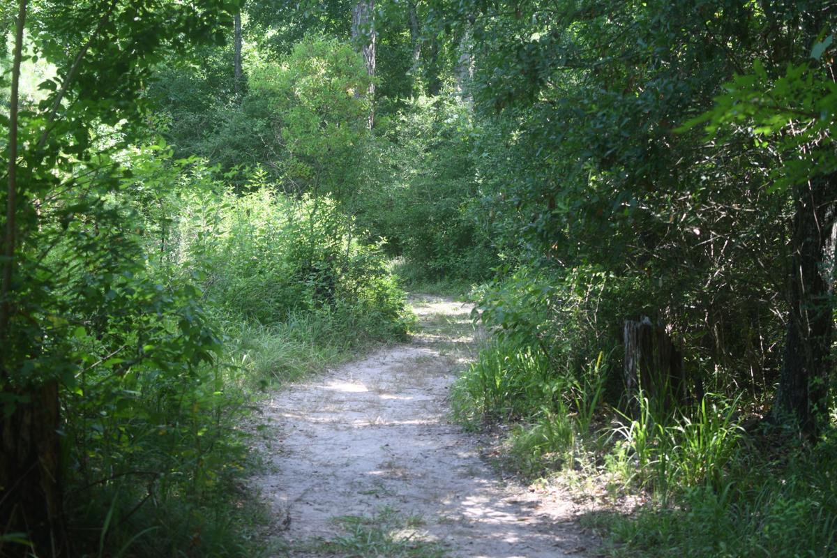IN PHOTOS: Cagle Recreation Area in Sam Houston National Forest reopens ...