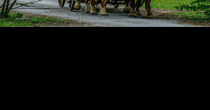 General Sam Houston Day reimagined with new event | News | itemonline.com