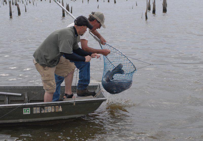 TPWD looking to tighten passive fishing rules | Sports | itemonline.com