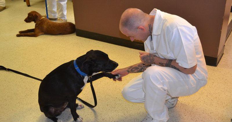 An inmate's best friend | Local News | itemonline.com