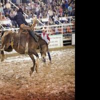 Walker County Fair kicks off Friday at fairgrounds | Local News ...