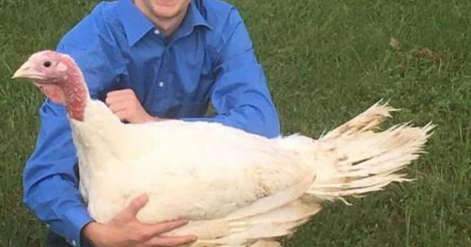 WC FAIR SPOTLIGHT: Ryan Stoughton | News | itemonline.com