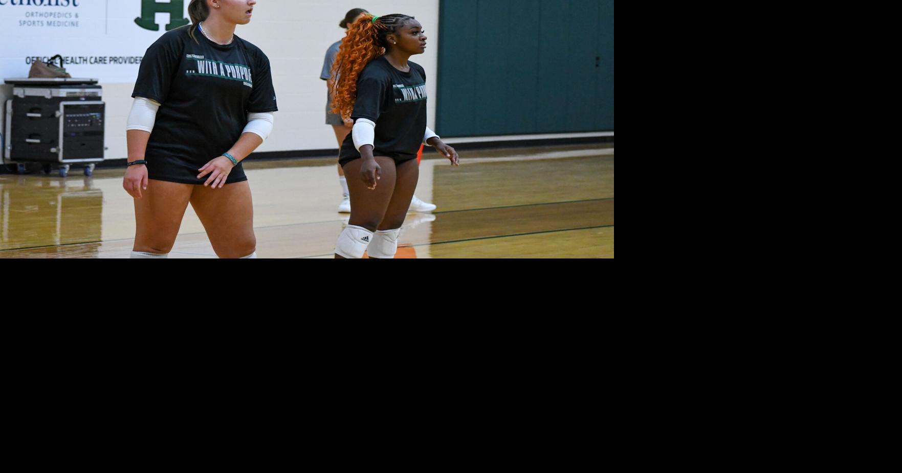 Lady Hornet volleyball will try to bring the energy in 2025 | Sports ...