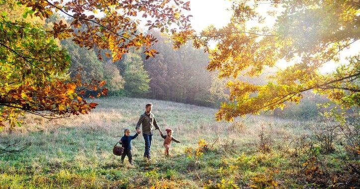 Cooler days ahead: stay prepared and protected this fall | News ...