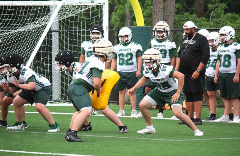 New era kicks off in Huntsville: Moebes leads Hornets into spring ...