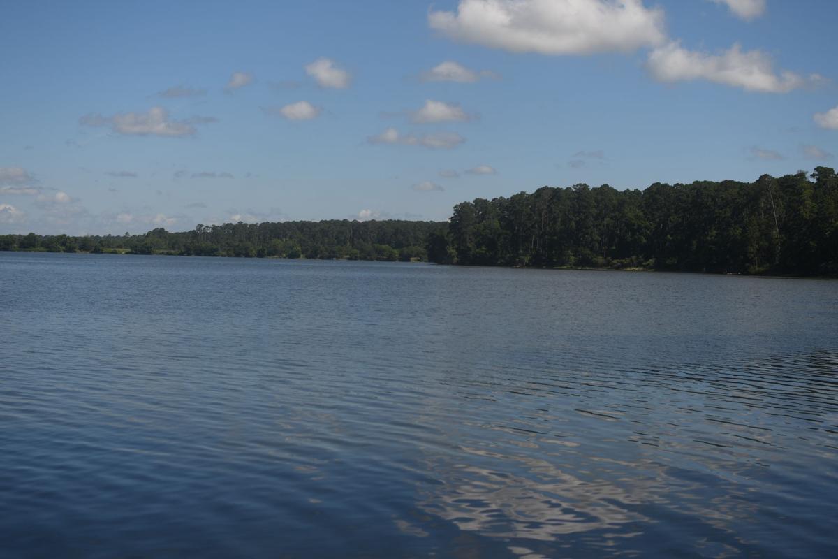 IN PHOTOS: Cagle Recreation Area in Sam Houston National Forest reopens ...