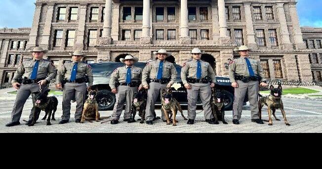 Texas DPS graduates 6 K-9 teams for border security duty | News ...