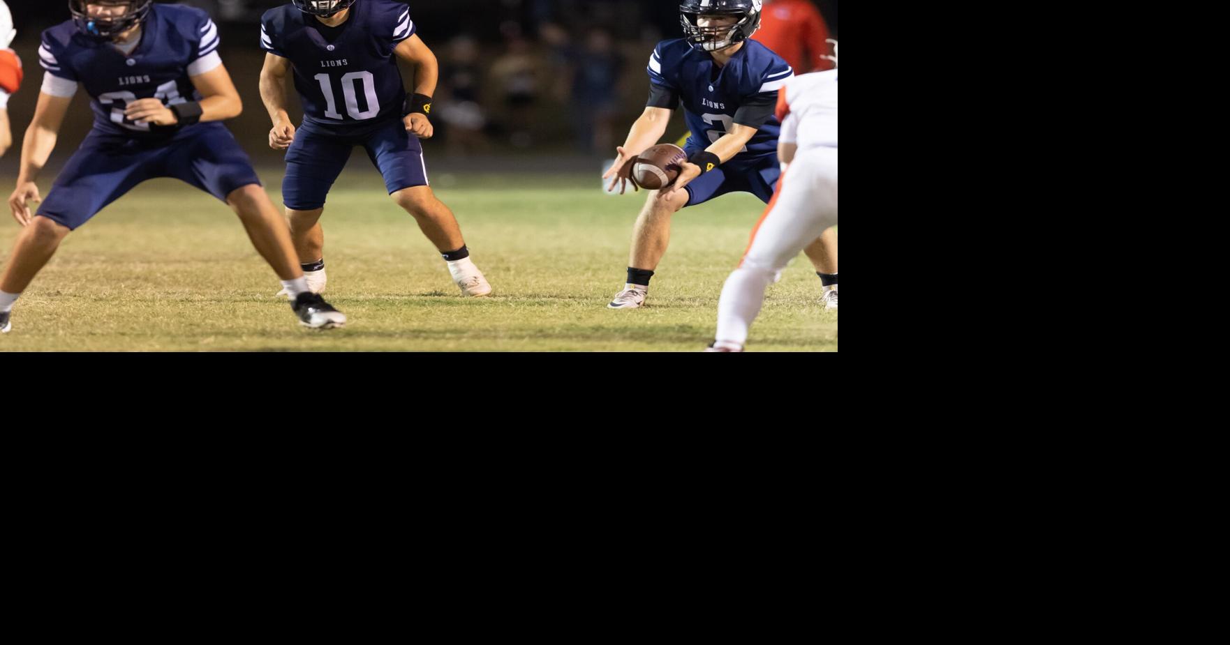 Lions play complete game to win area crown | Sports | itemonline.com