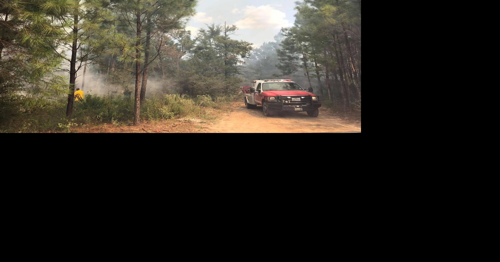 Fire crews contain wildfire in northern Walker County | News ...