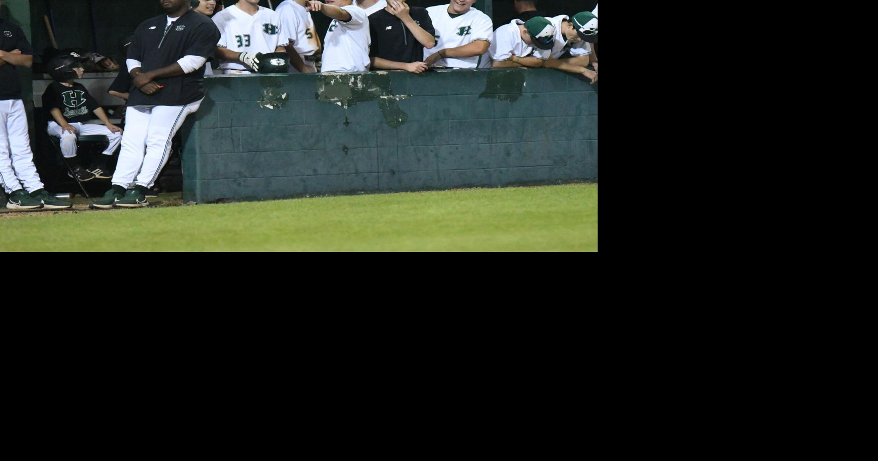 Hornets receive high praise for baseball season | Newsletters ...