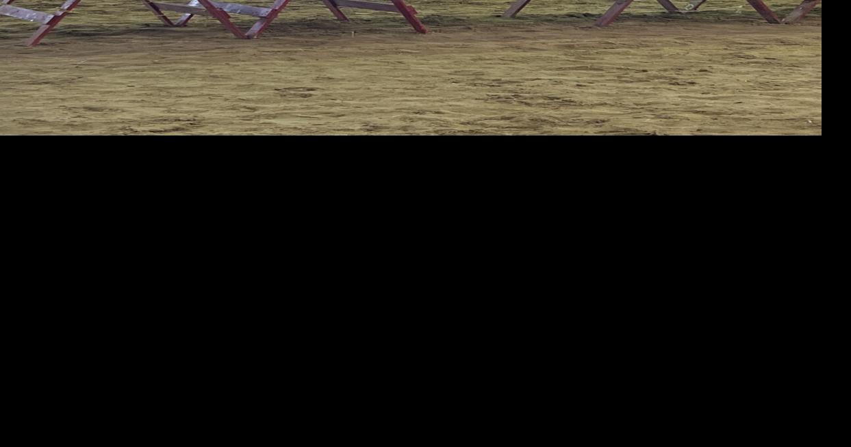 Rabbits, Rabbits Everywhere | News | itemonline.com