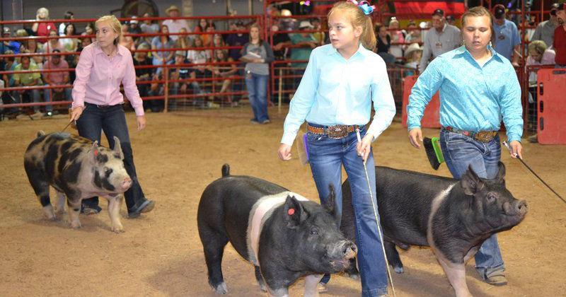 Students enjoy Walker County fair | Local News | itemonline.com
