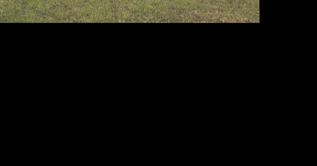 Huntsville FC Eclipse adds four teams for upcoming season | Sports ...