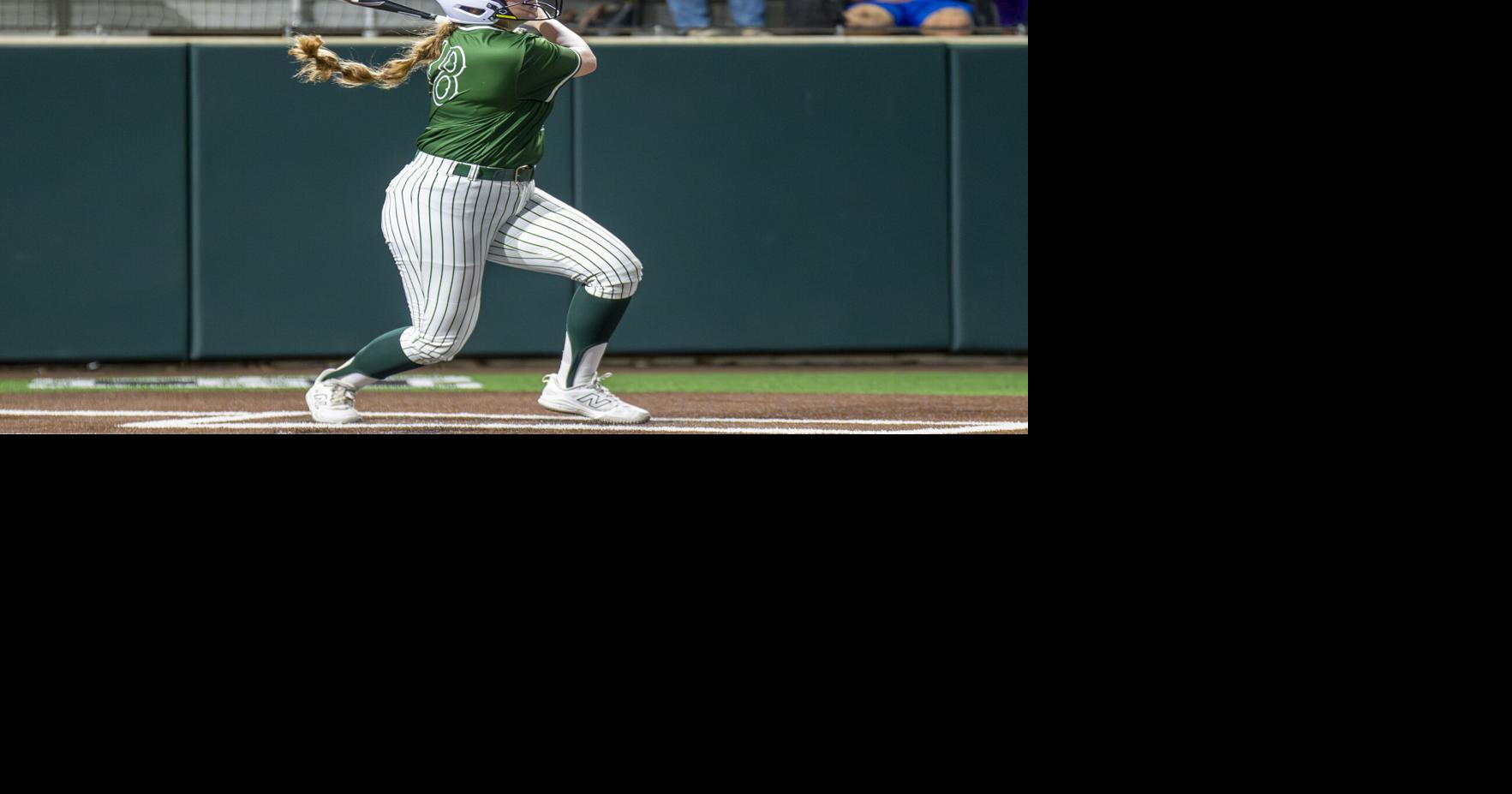 Lady Hornet softball takes home district 17-5A honors | Sports ...