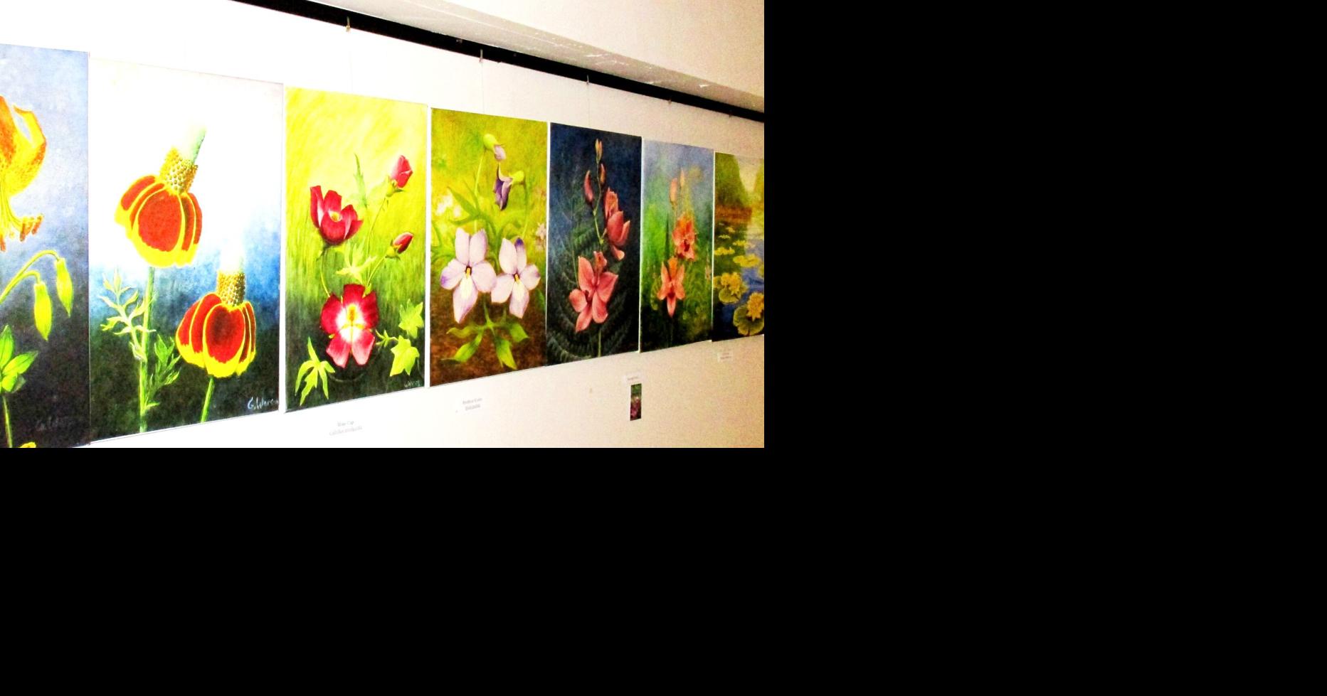 Natural Science & Art Research Center holds hidden gems | News ...