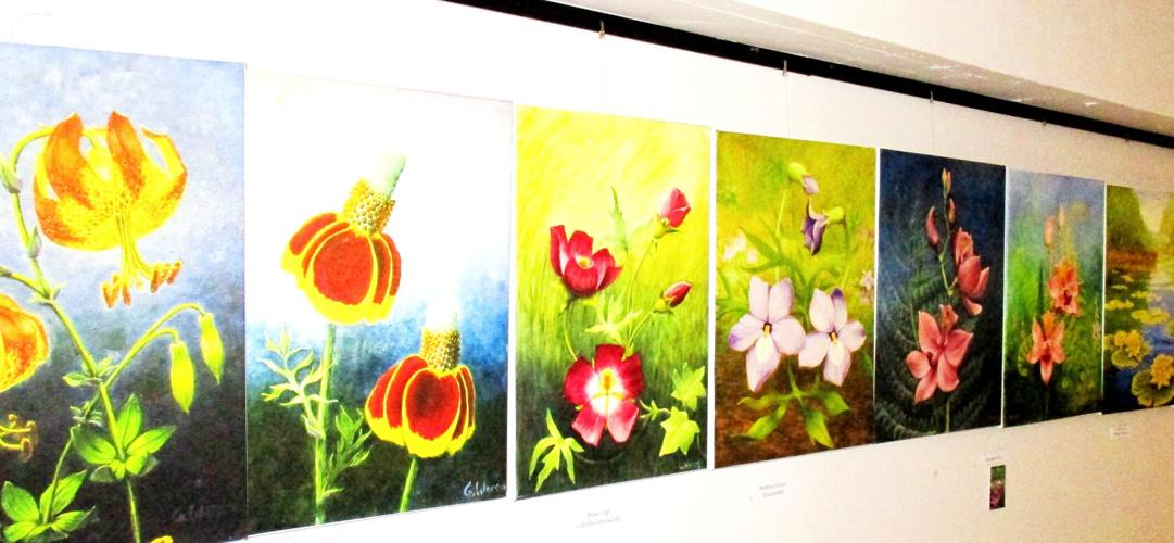 Natural Science & Art Research Center holds hidden gems | News ...