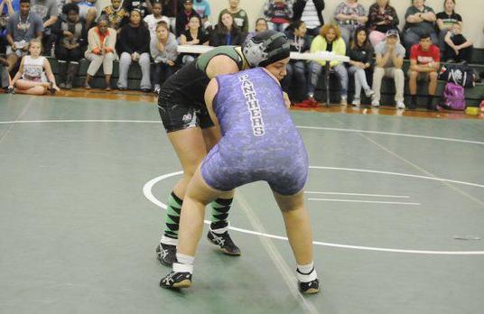 Huntsville wrestlers ready for district tournament | Huntsville Hornets ...