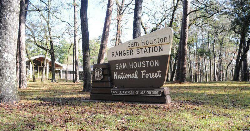 Local judges urge congress to provide aid for national forest counties ...