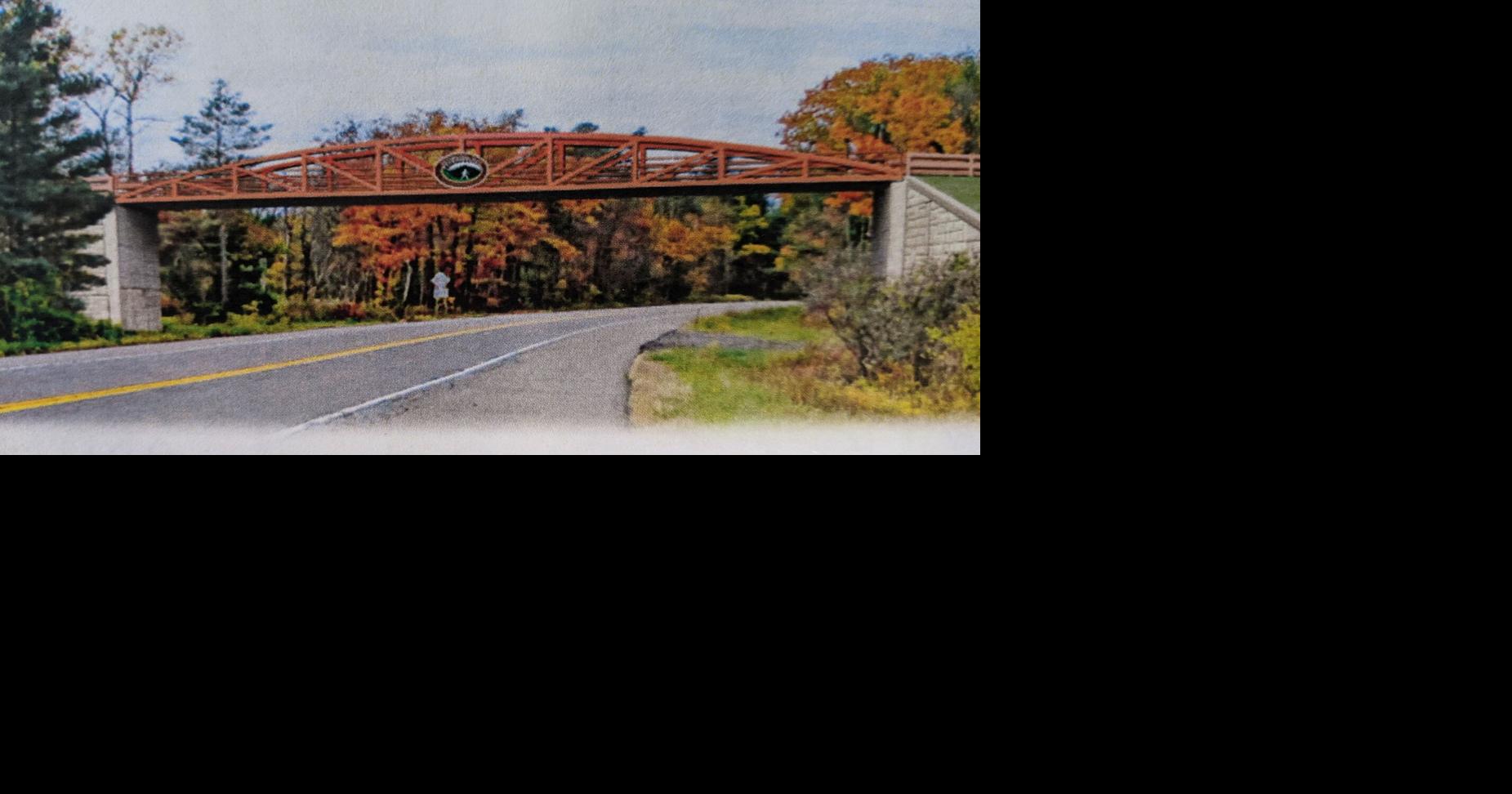 A rendering of what the bridge over Route 13 could look like ...