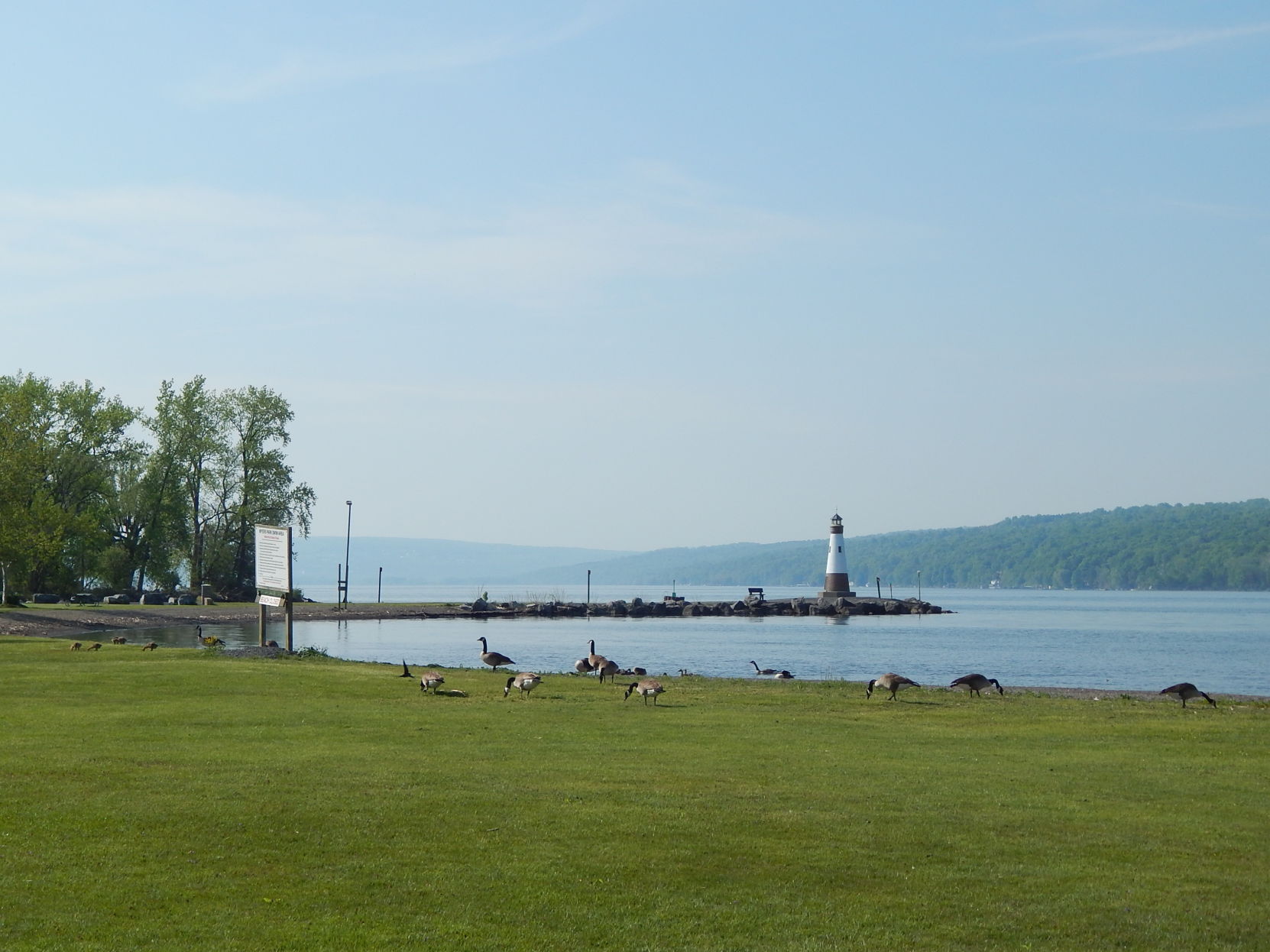 Getting Into the Finger Lakes: Going For a Swim | Summer Ithaca ...