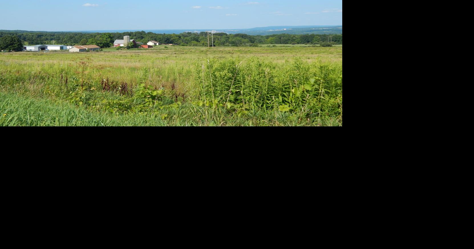 Newfield Town broadband project advancing | Newfield | ithaca.com