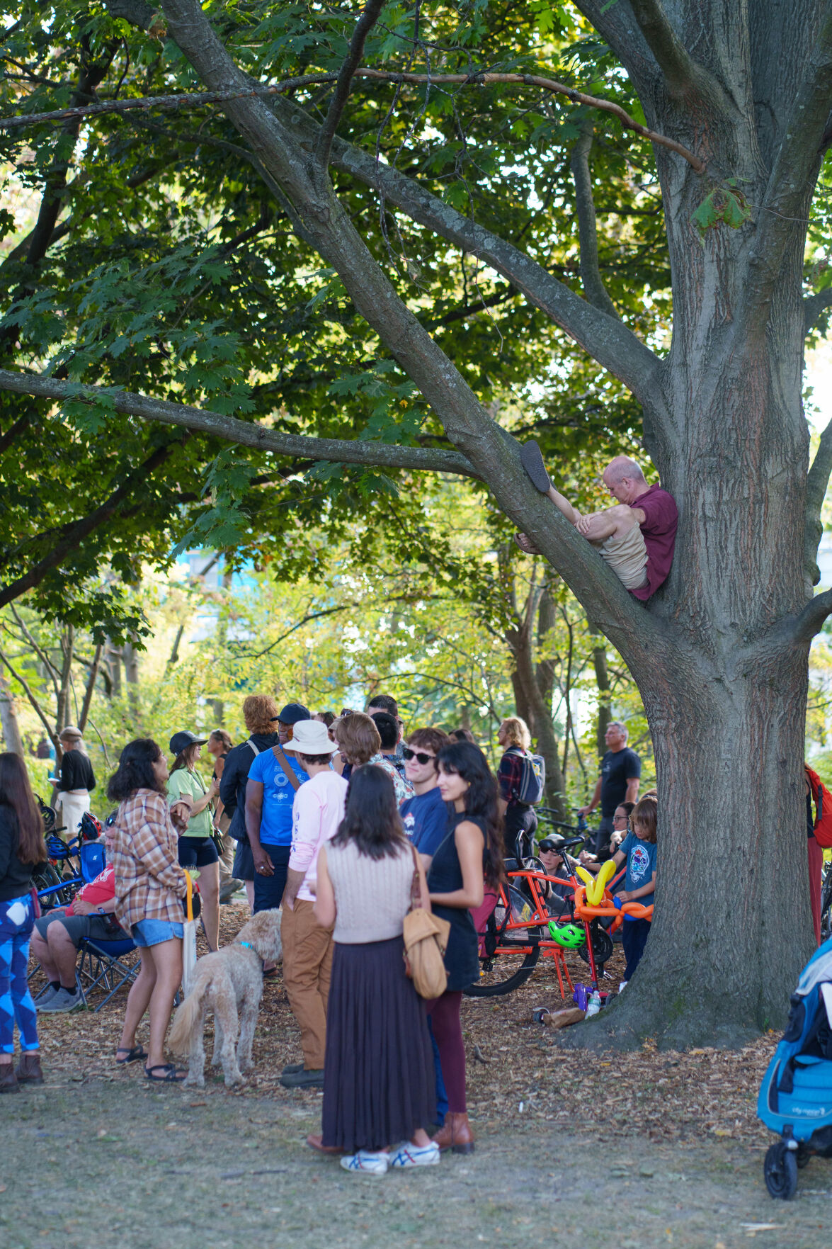 Gallery: Music and Community Shine at Ithaca Porchfest 2025 | Photos ...