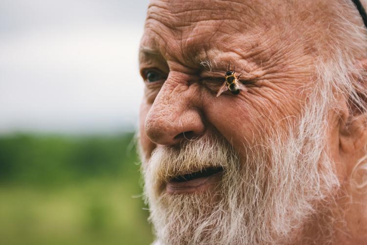 Toiling to save the bees | Ithaca | ithaca.com