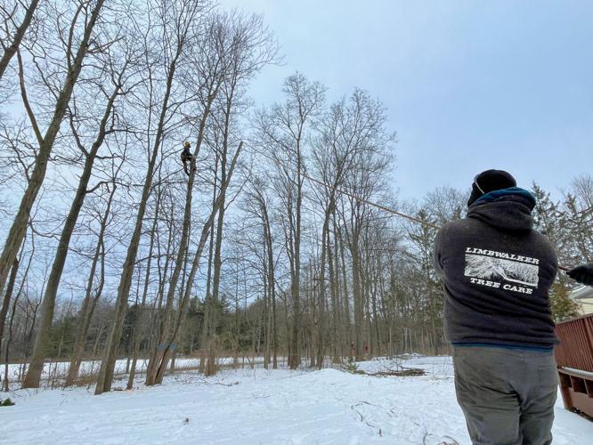 Limbwalker Tree Service: Keith Vanderhye and Cody Sykes | Community ...