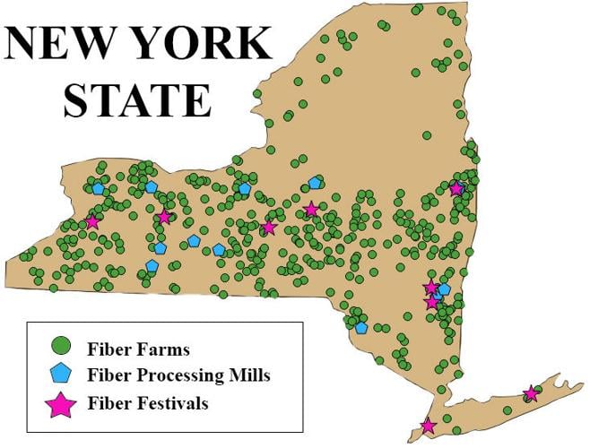 A look behind the local fiber movement in Central New York ...
