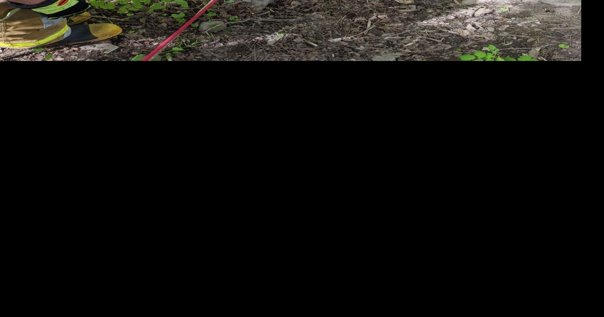 Lansing resident survives 20-foot fall from cliff | News | ithaca.com