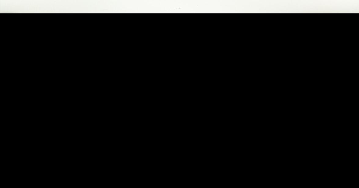 Say Their Names sign | | ithaca.com