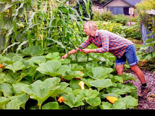 Planting by 13 Moons With the Haudenosaunee | Fall Guide | ithaca.com